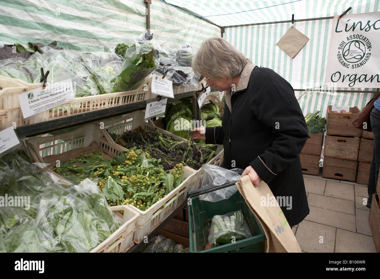 Devon woman shopping hi-res stock photography and images - Alamy