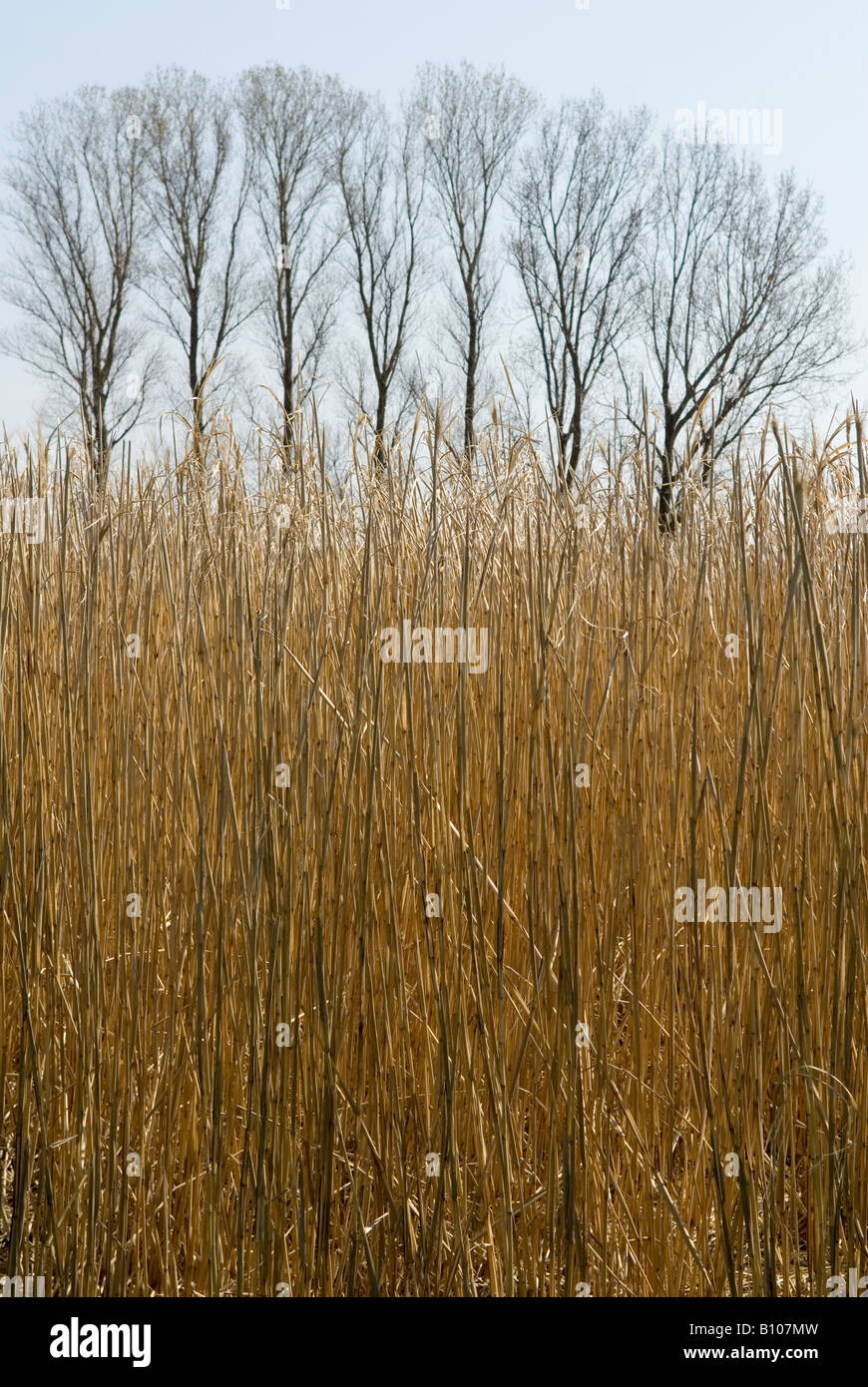 Oppendorf hi-res stock photography and images - Alamy