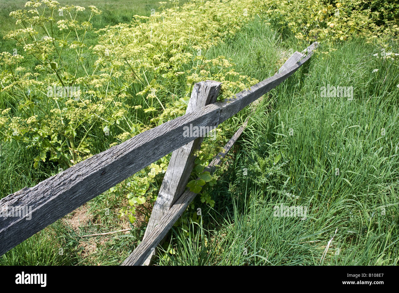 Barbed wire setup hi-res stock photography and images - Alamy