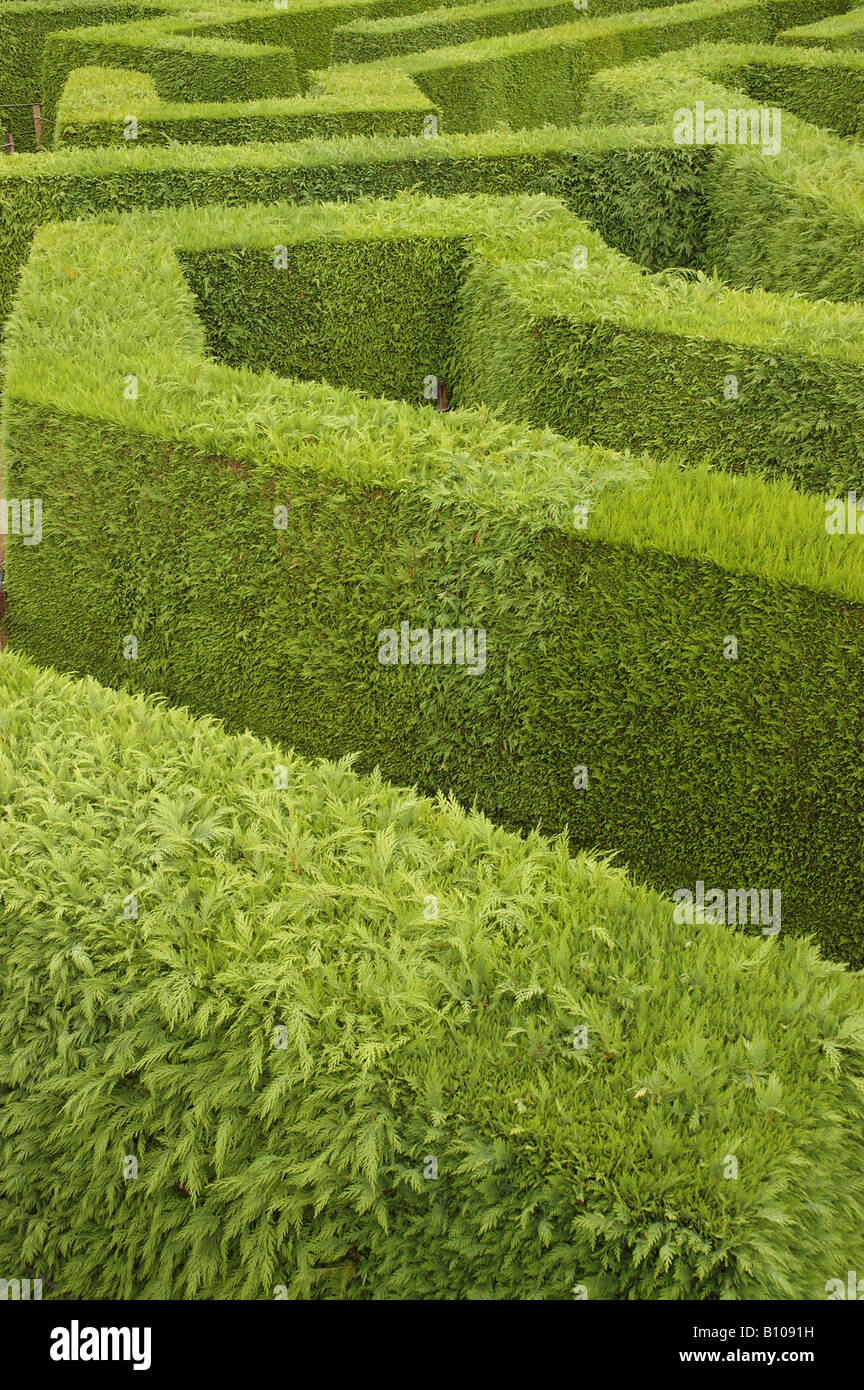 Hedgerow maze hi-res stock photography and images - Alamy