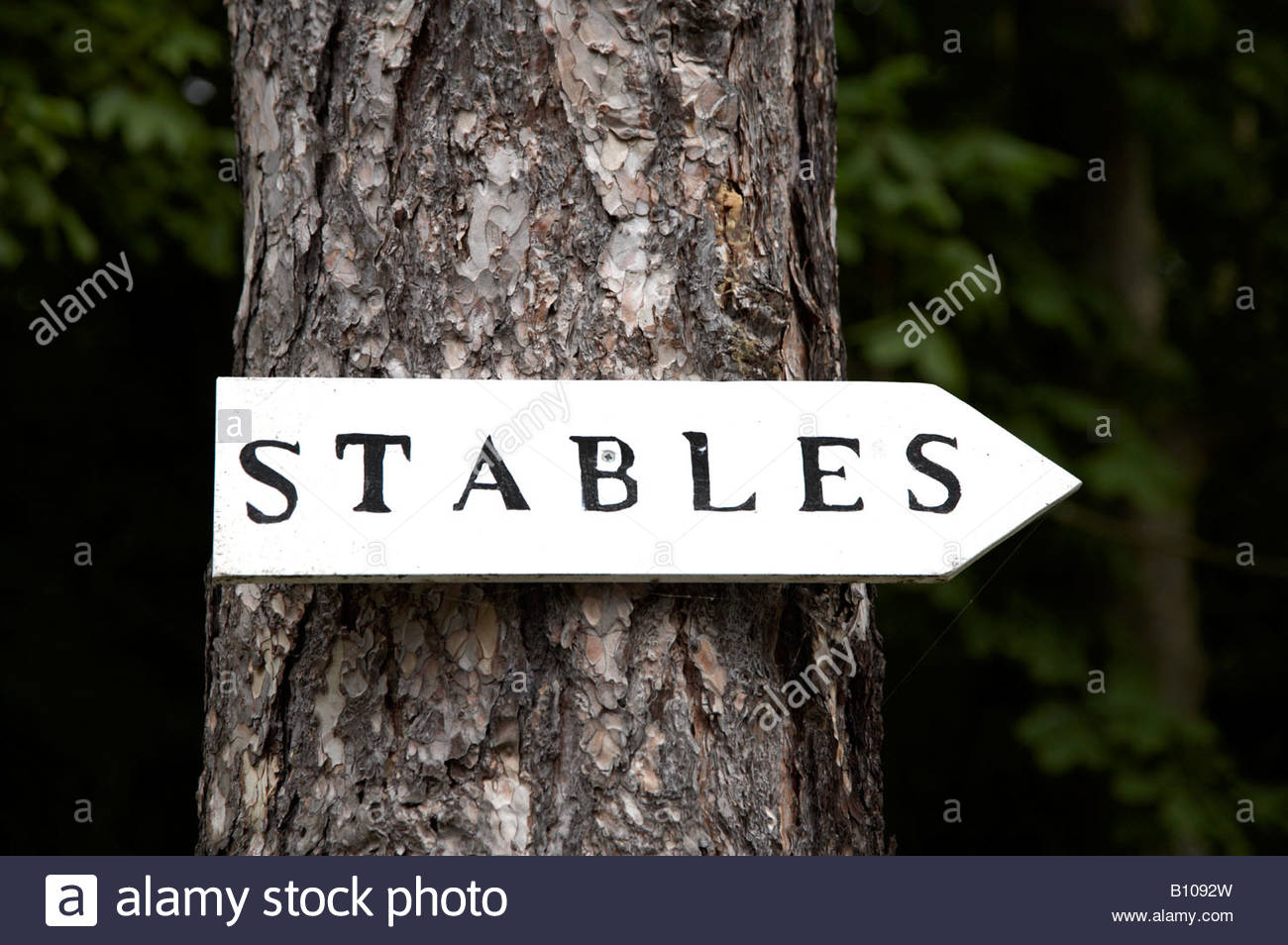 Signpost on a tree hi-res stock photography and images - Alamy
