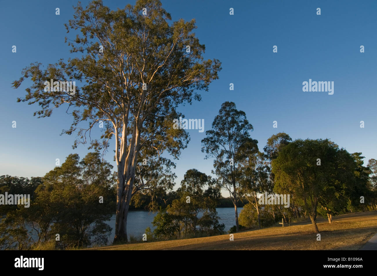 Yeronga park hi-res stock photography and images - Alamy
