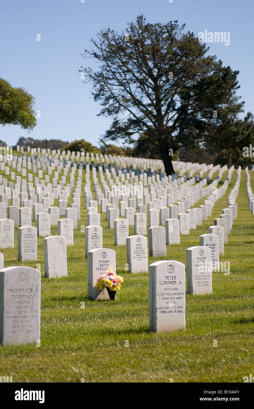 Tombstones at the Golden Gate national cemetery, San Francisco Stock ...
