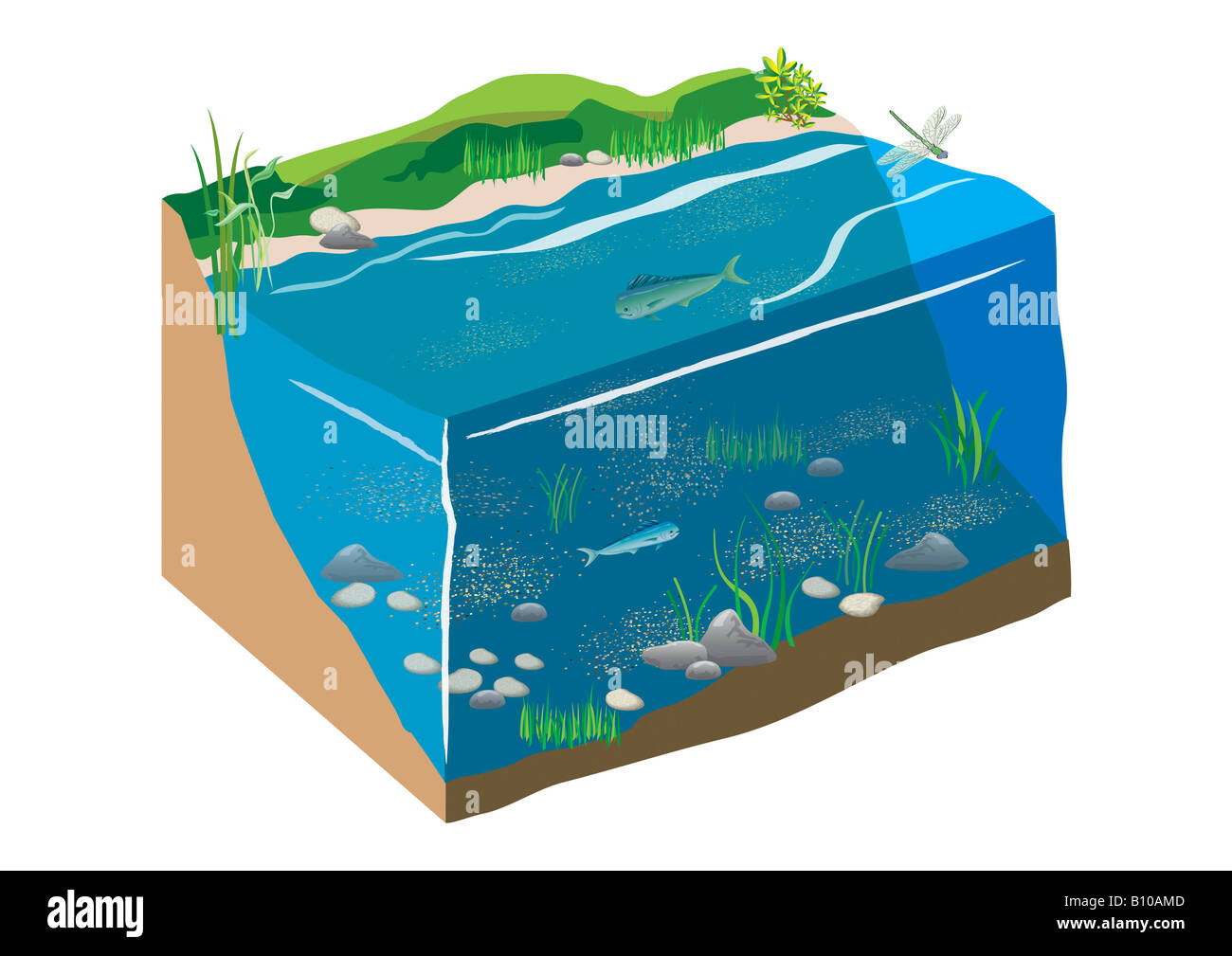 Pictures of rivers Cut Out Stock Images & Pictures - Alamy