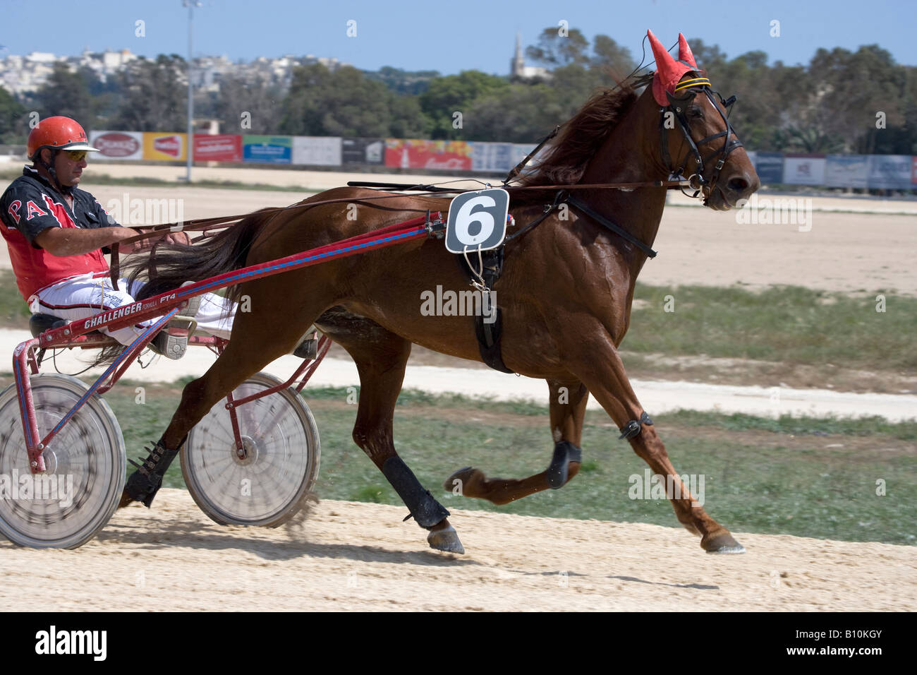 Horse racing malta hi-res stock photography and images - Alamy