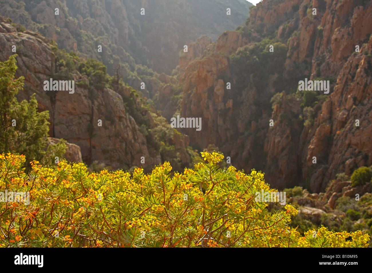 UNESCO world heritage site Les calanche de Piana on Corsica Island ...