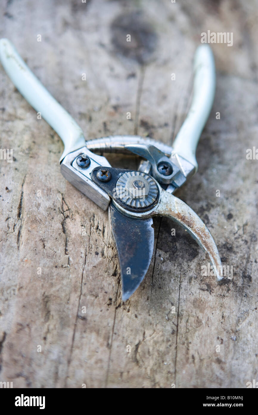 Pair of Garden Secateurs Stock Photo - Alamy