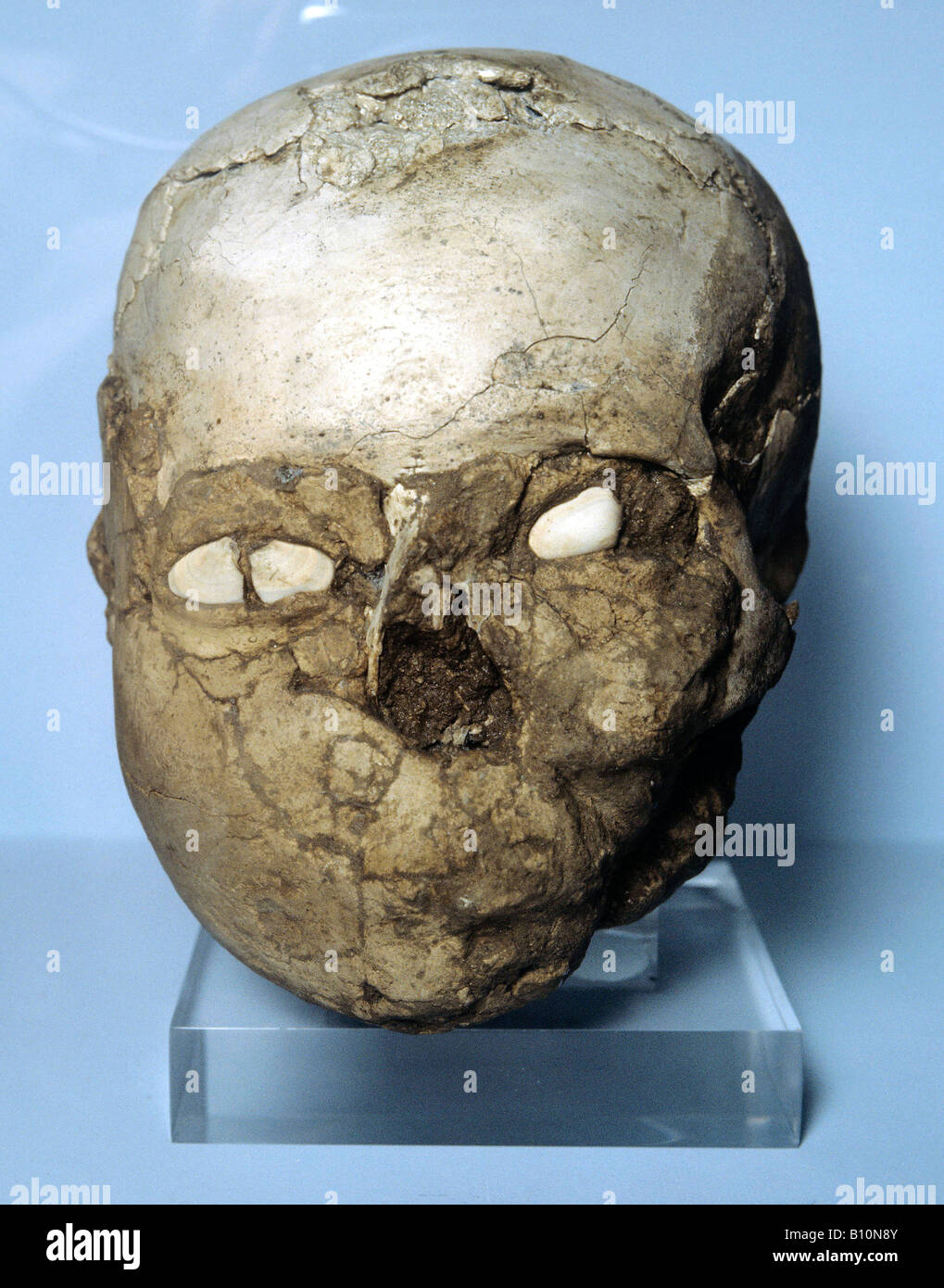 Jericho skull neolithic hi-res stock photography and images - Alamy
