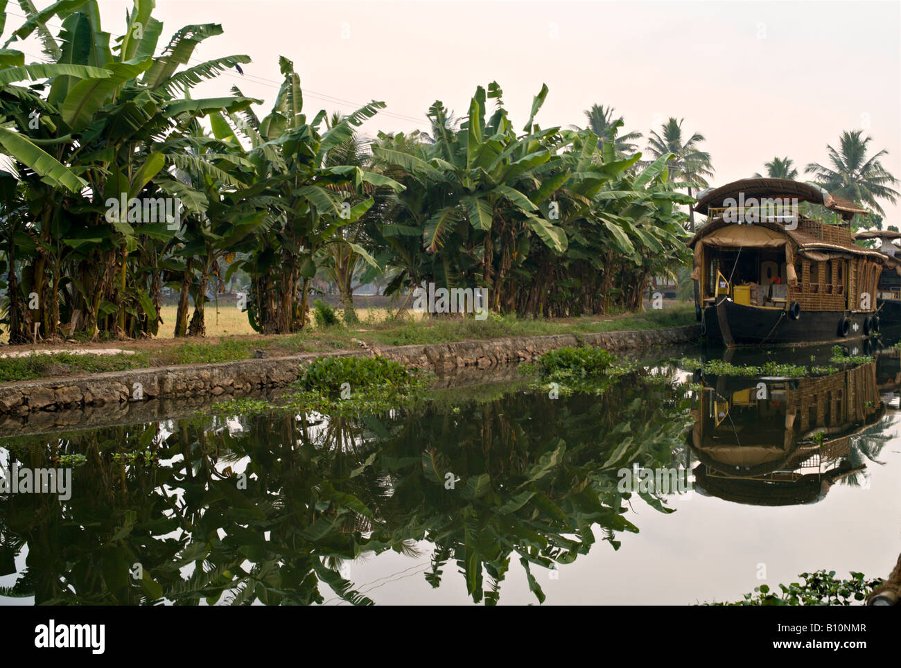 INDIA KERALA Renovated rice boat on canals in the backwaters of Kerala ...