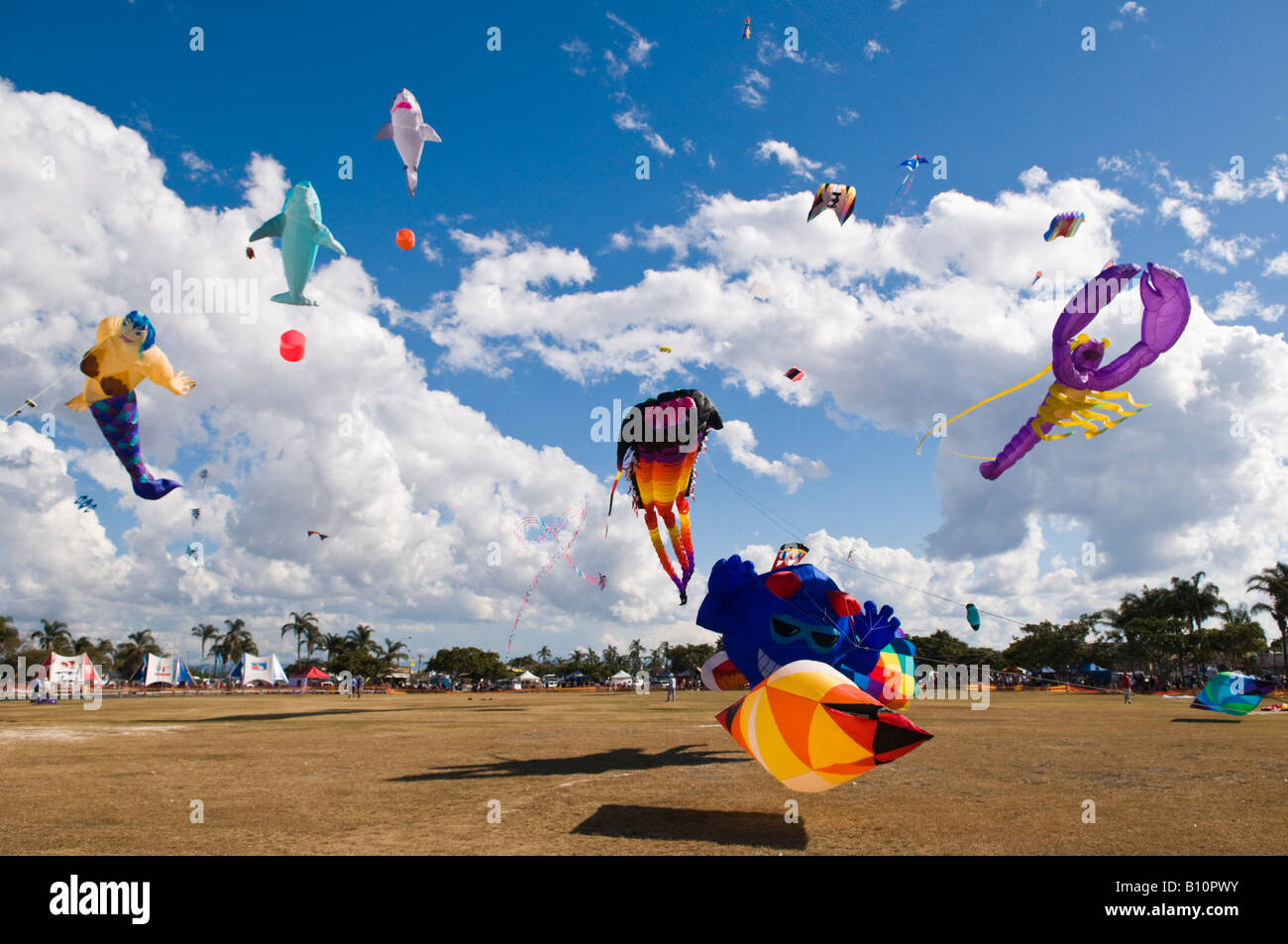Redcliffe kite festival Queensland Australia Stock Photo - Alamy