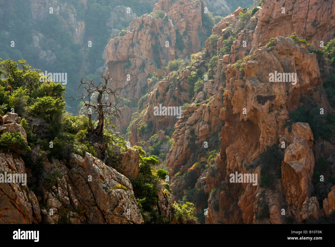 UNESCO world heritage site Les calanche de Piana on Corsica Island ...