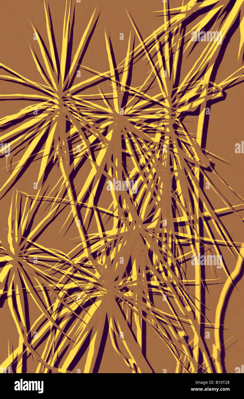 Digitally altered plant abstract Stock Photo - Alamy