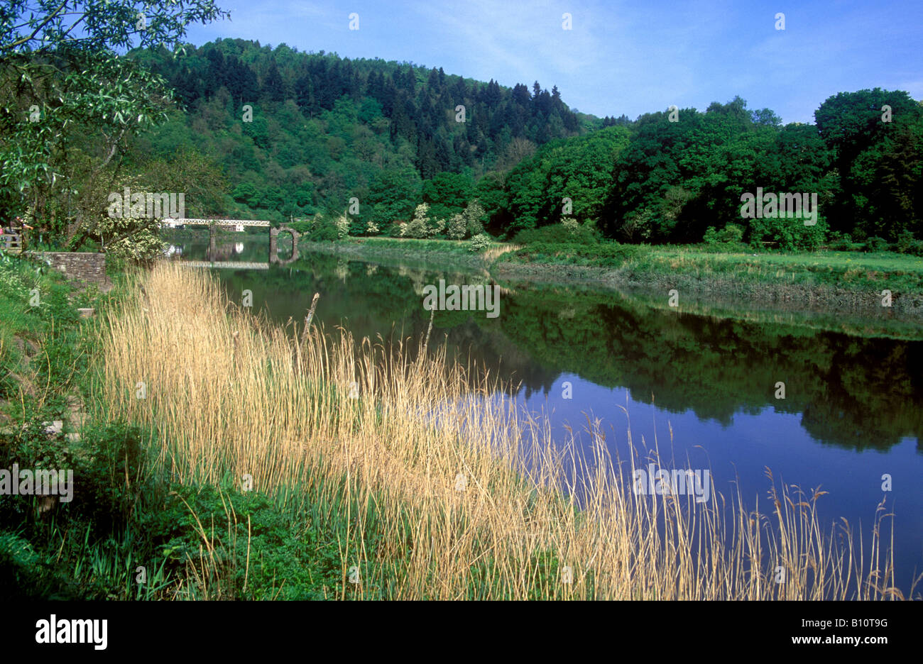 Tintern on the River Wye Stock Photo - Alamy