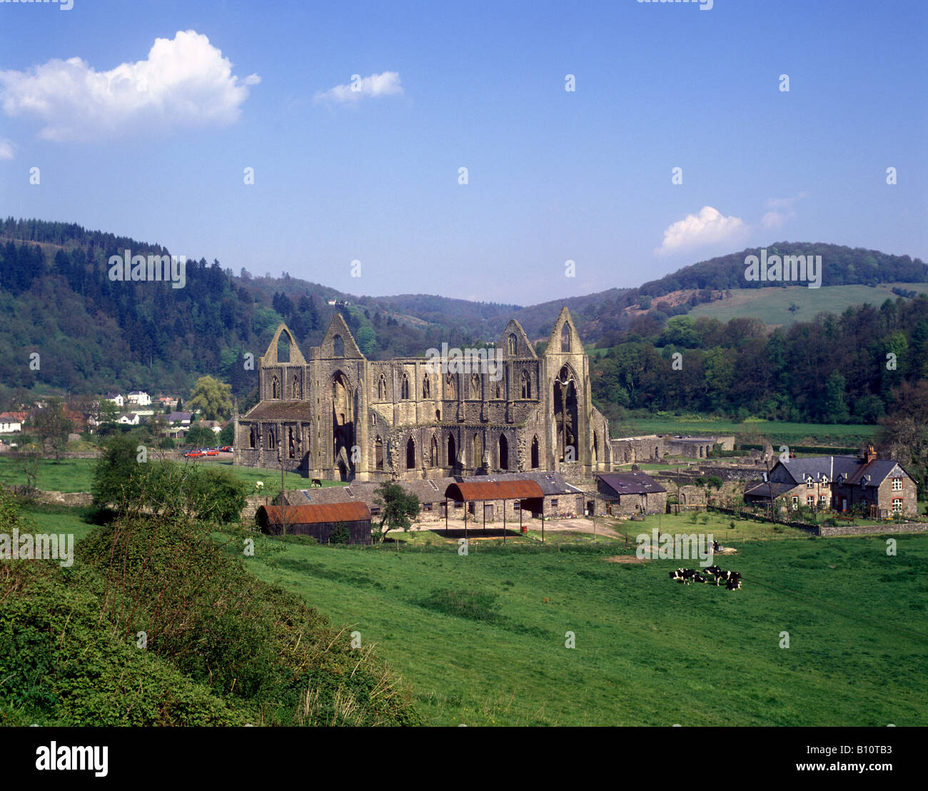 Tintern Abbey in the Wye Valley Stock Photo - Alamy