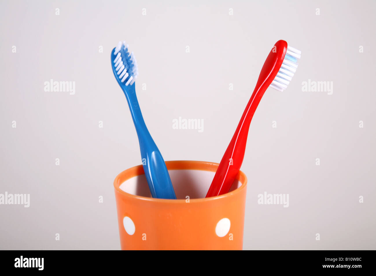 Toothbrush red and blue in a spotted holder Stock Photo - Alamy