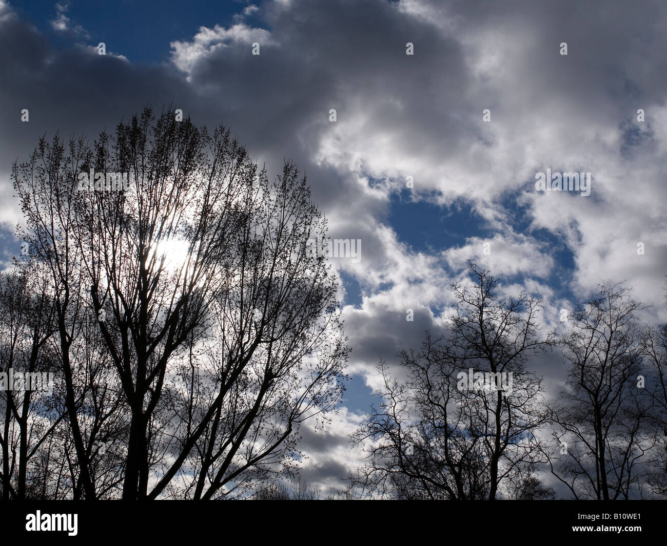 Trees with cloudy sky and sunny intervals in autumn Stock Photo - Alamy