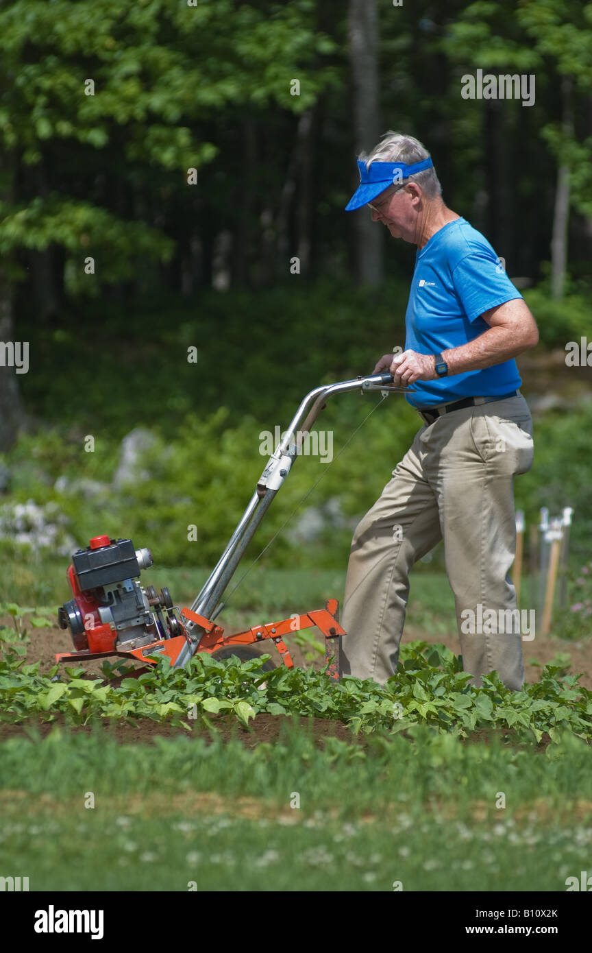 summer garden plowing vegetable flower Stock Photo - Alamy