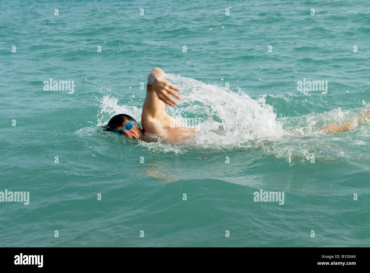 A man swimming front crawl in the sea Stock Photo - Alamy