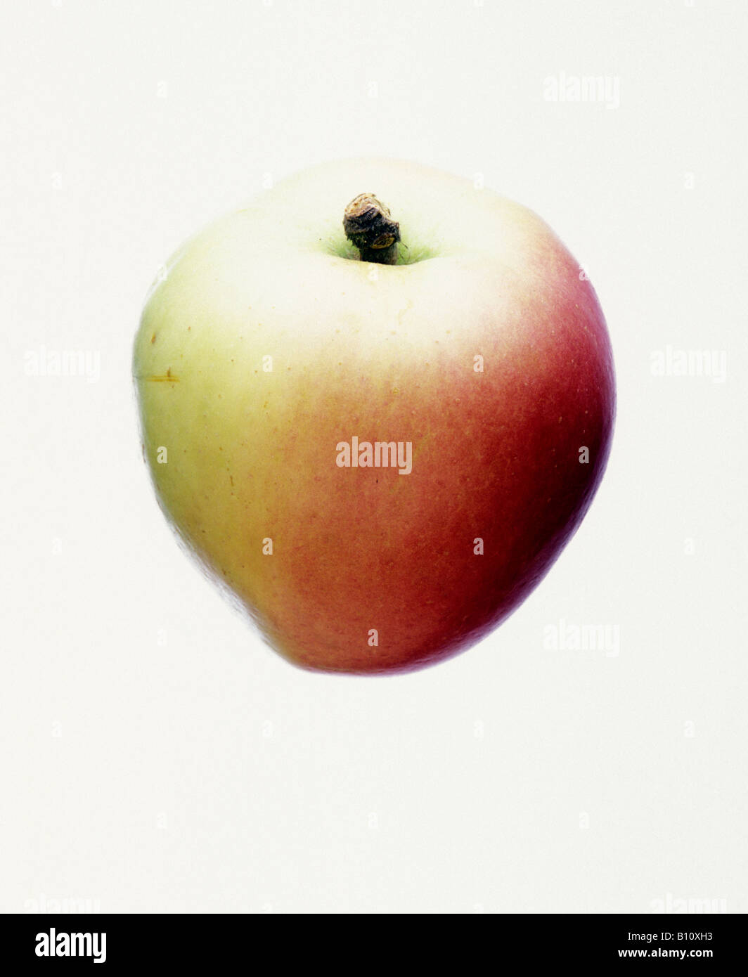 William Crump UK apple Stock Photo - Alamy