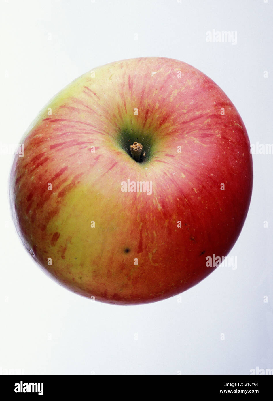 Lanes Prince Albert UK apple Stock Photo - Alamy