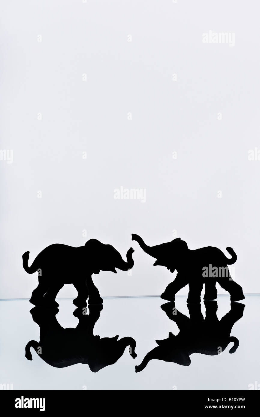 Elephant pair reflection Stock Photo - Alamy