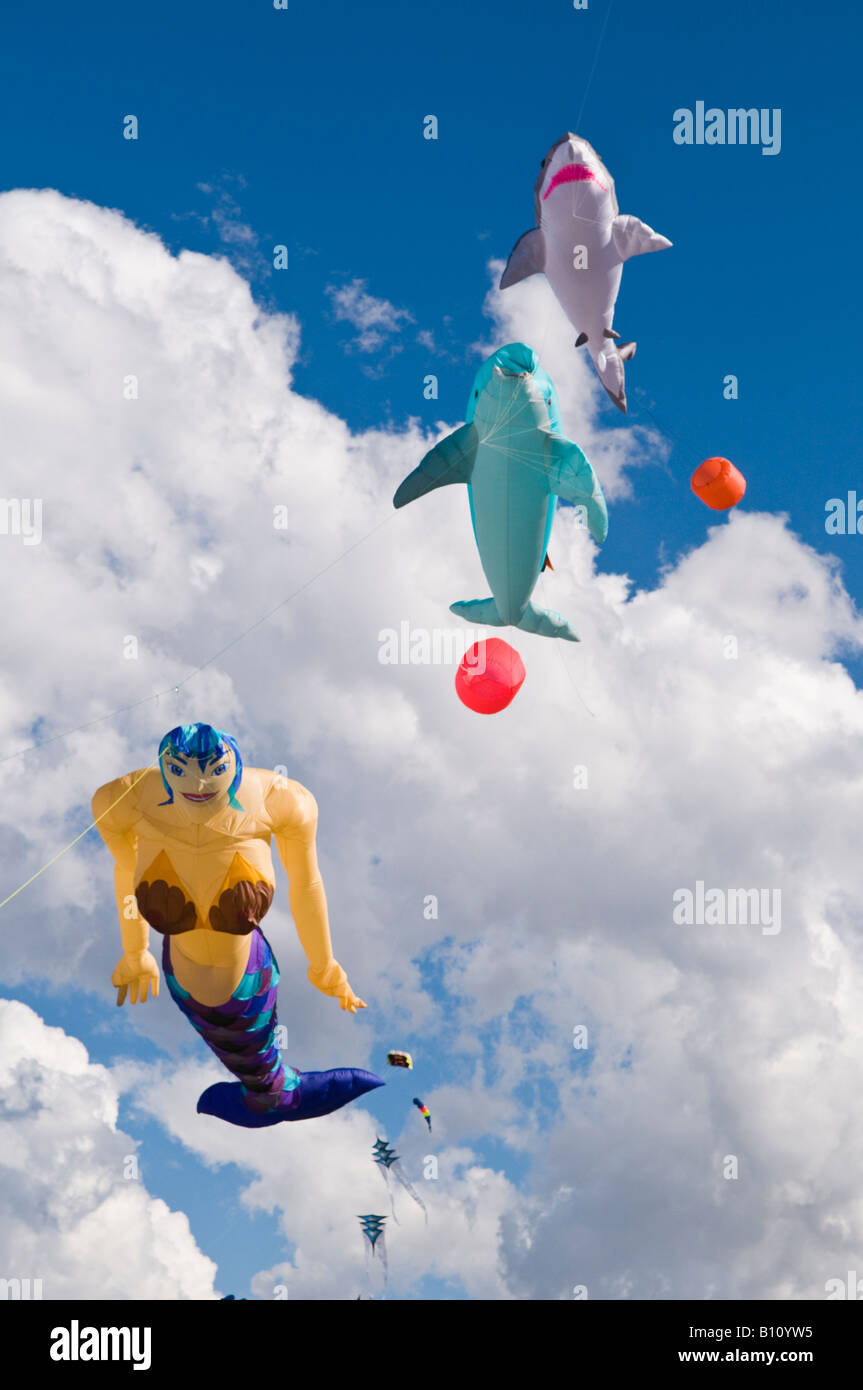 Redcliffe kite festival Queensland Australia Stock Photo - Alamy