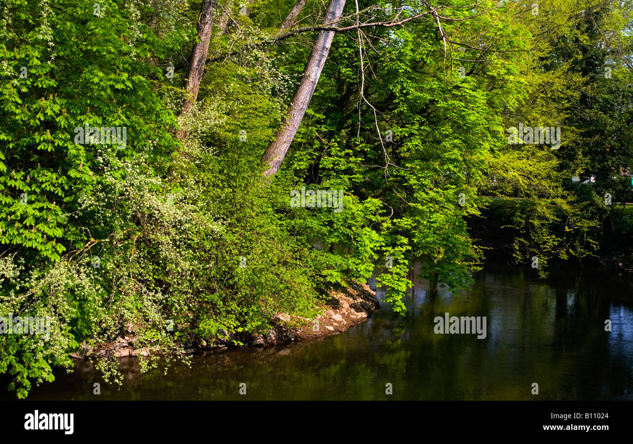 Matlock river hi-res stock photography and images - Alamy