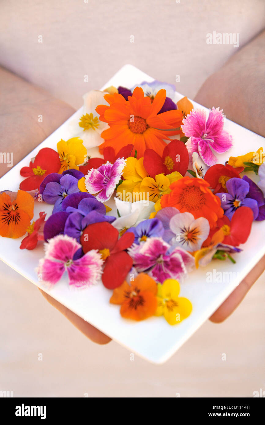 Edible carnation flowers hi-res stock photography and images - Alamy