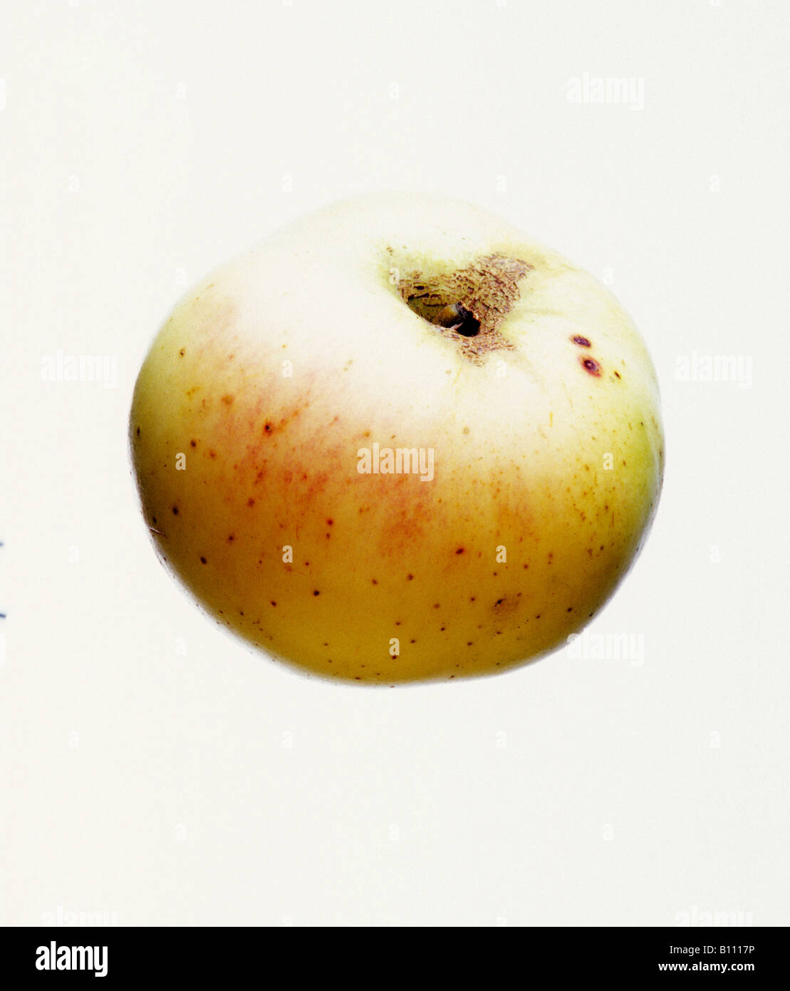 Stirling Castle UK apple Stock Photo - Alamy