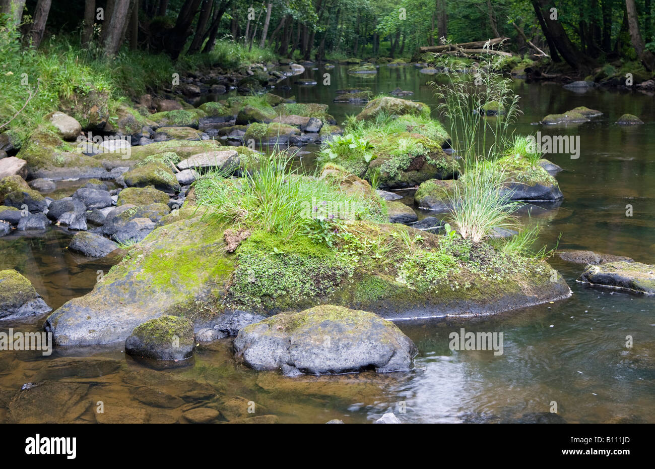 River esk at egton bridge hi-res stock photography and images - Alamy