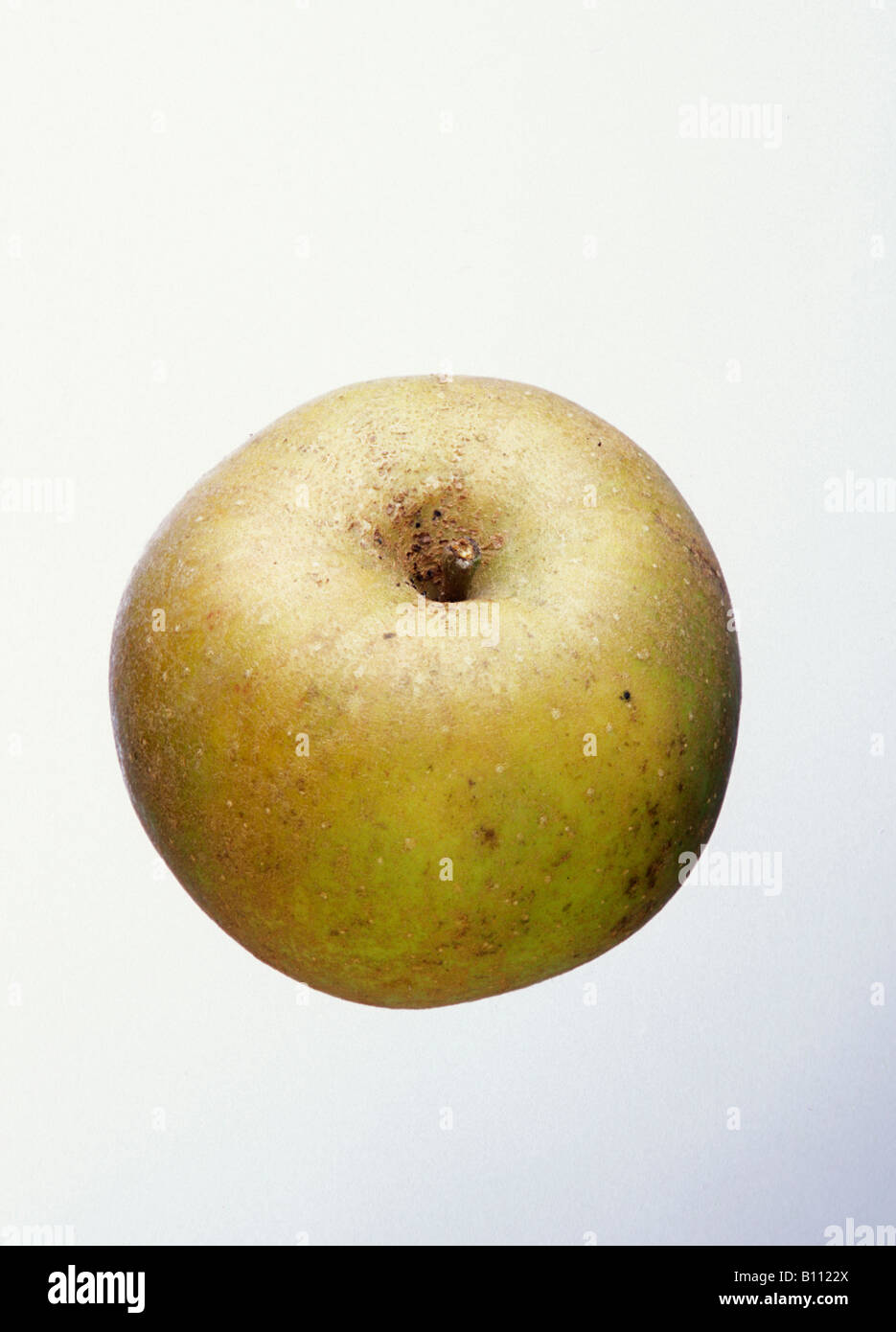 Duke of Devonshire UK apple Stock Photo - Alamy