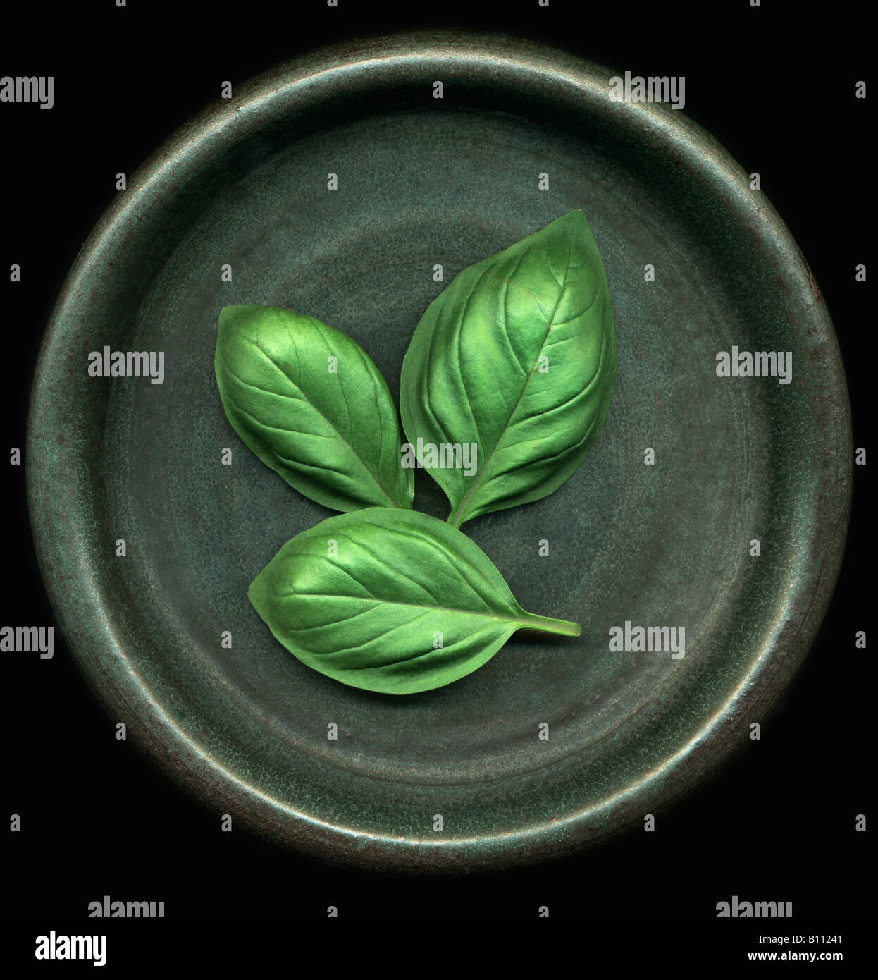 Three basil leaves on round ceramic plate Stock Photo - Alamy