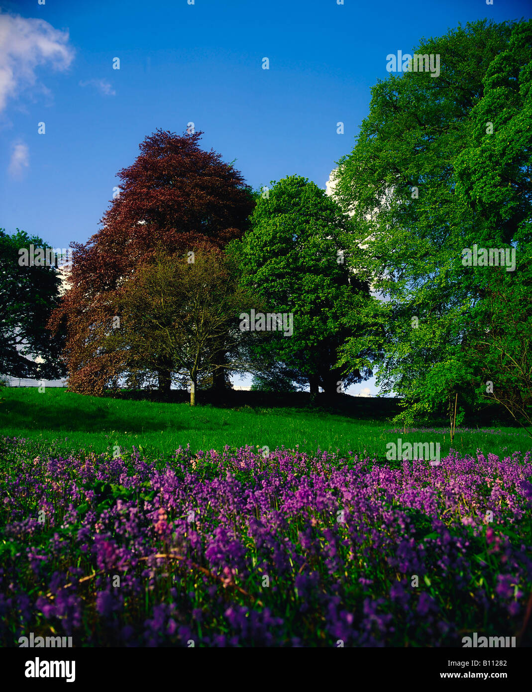 Tullynally castle hi-res stock photography and images - Alamy