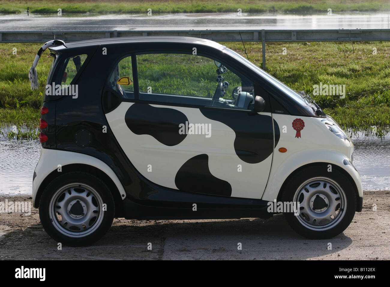 smart car cow Stock Photo - Alamy