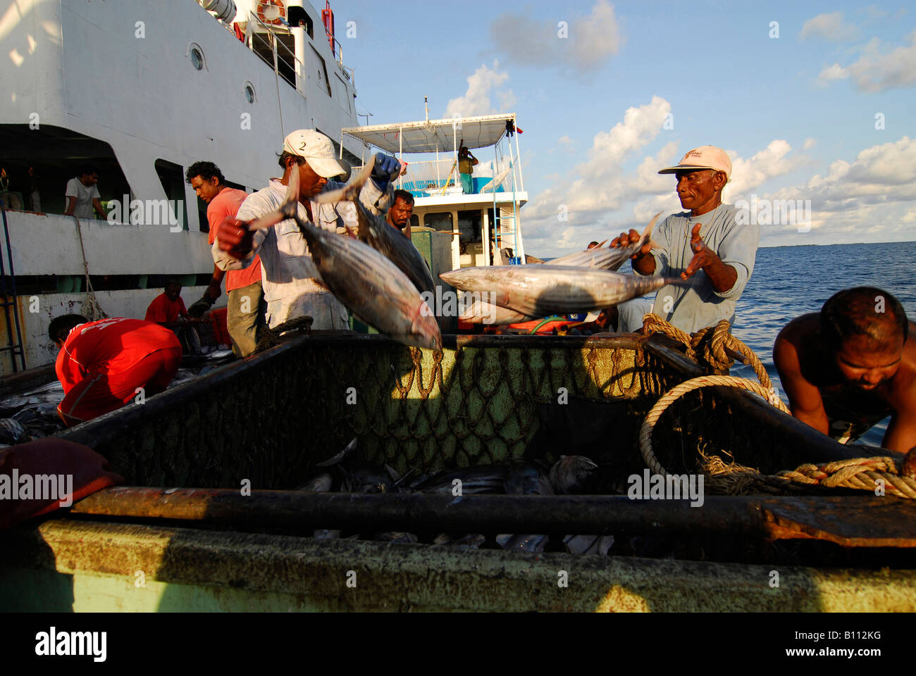 Fishermen sorting catch of fish Indian Ocean Maldives Islands Stock ...