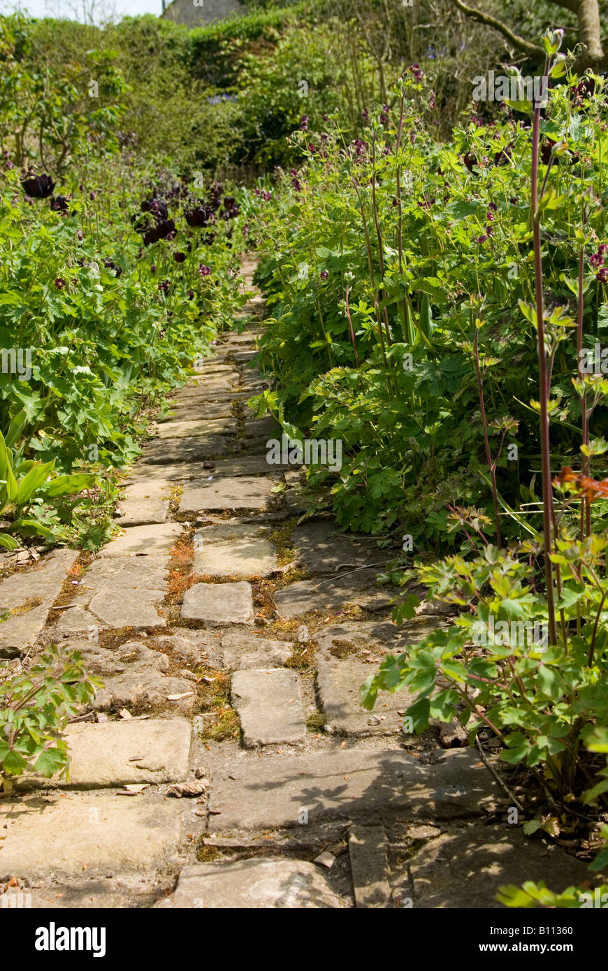 Country cottage garden brick path hi-res stock photography and images ...