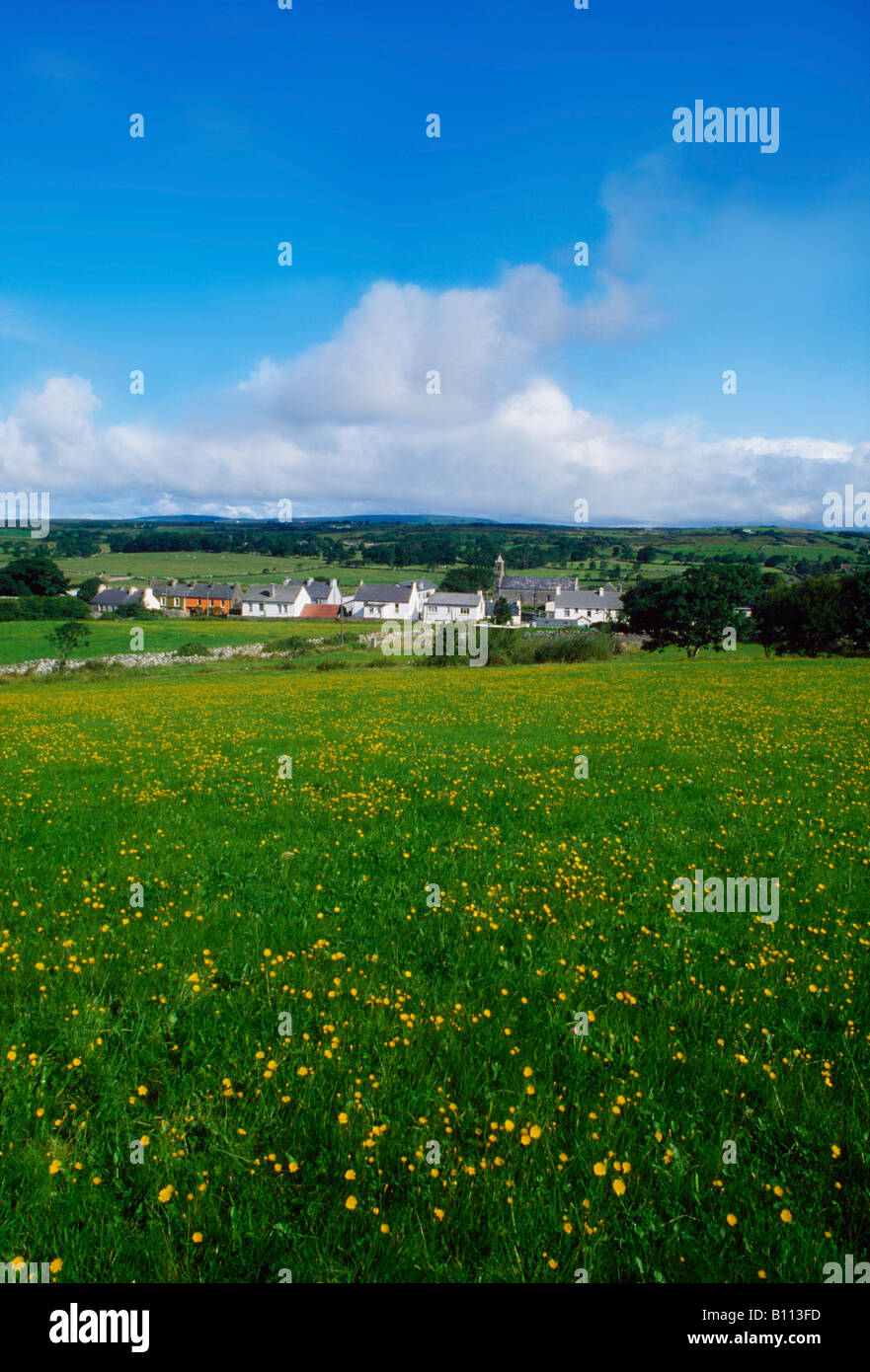 Nora e hi-res stock photography and images - Alamy