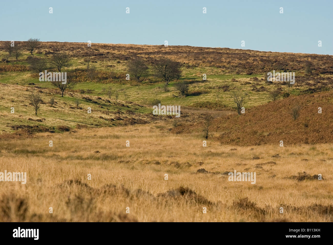 Molland hi-res stock photography and images - Alamy