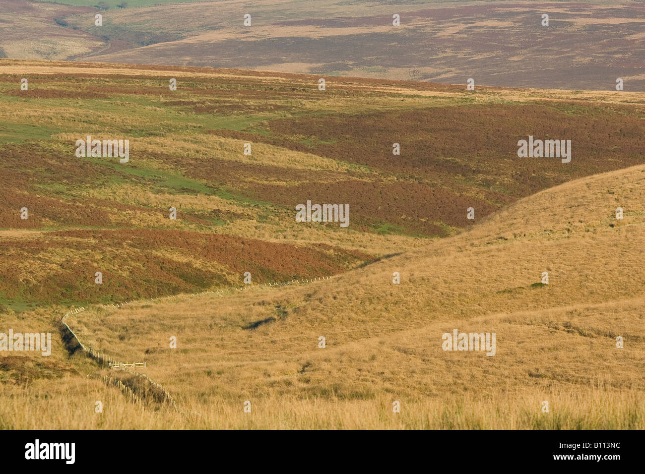 Brendon common exmoor hi-res stock photography and images - Alamy