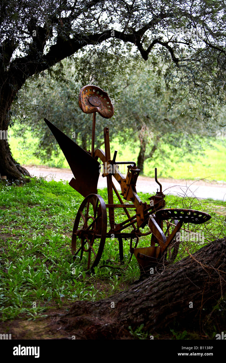 OLD PLOUGH IN A FRENCH COUNTRY OLIVE GROVE Stock Photo - Alamy