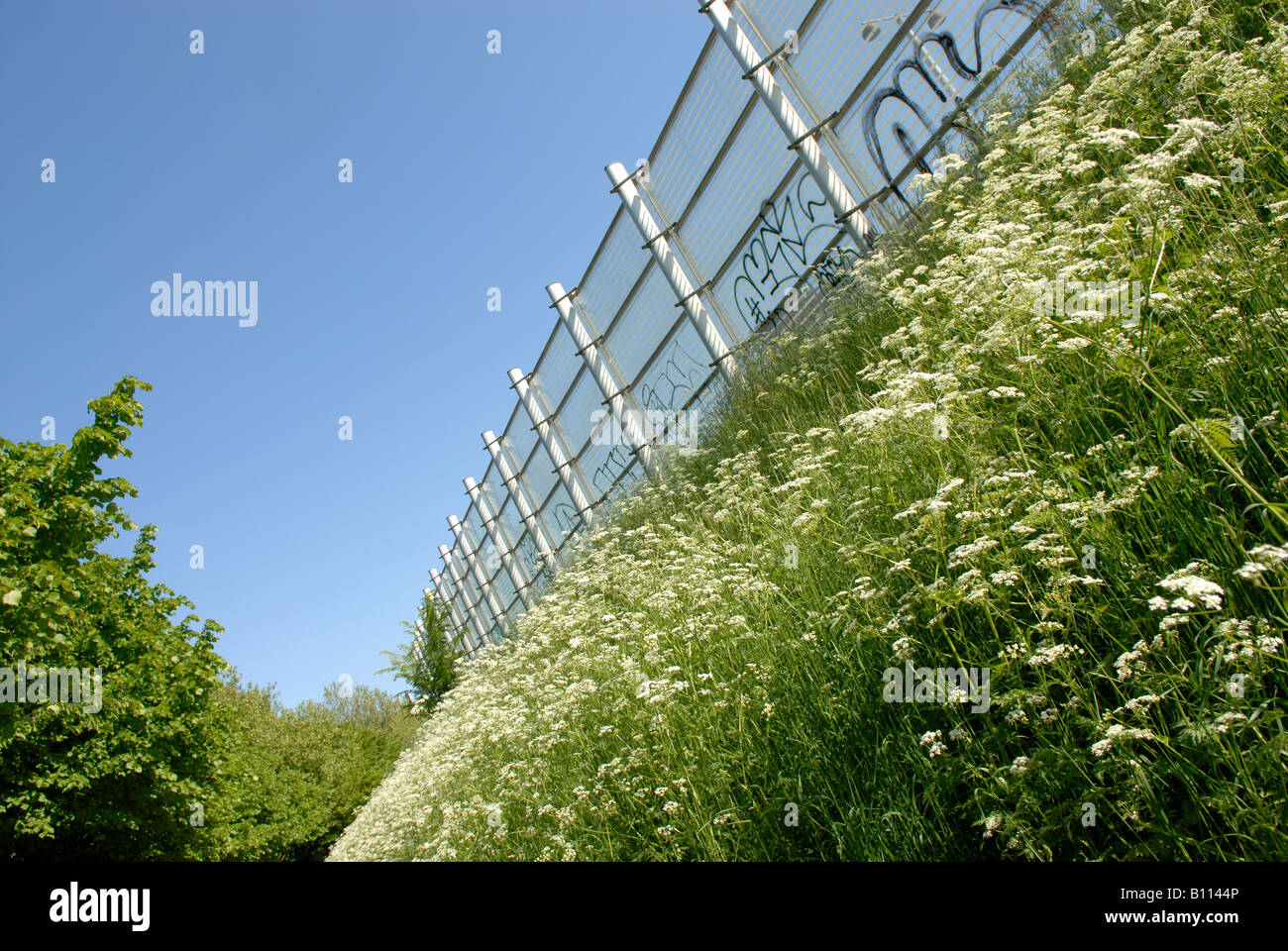 FENCE IN NATURE Stock Photo - Alamy