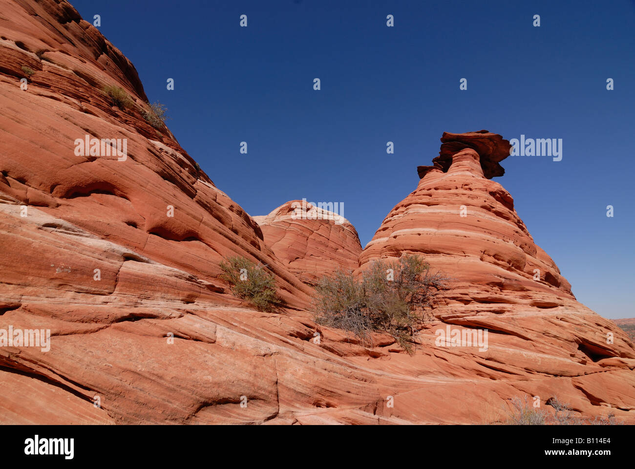The beautiful rock formation The wave Vermillion Cliffs Utah USA Stock ...