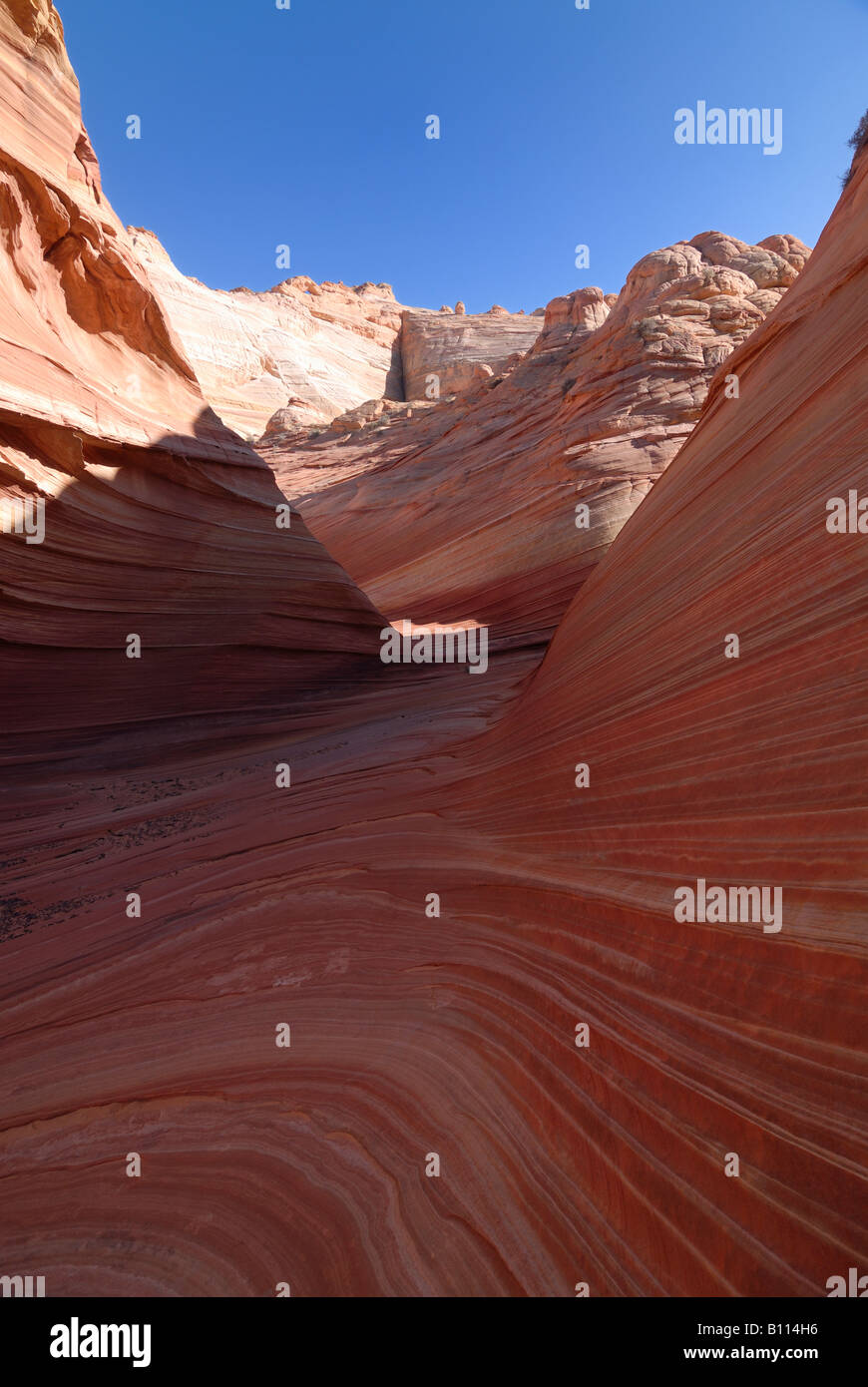 The beautiful rock formation The wave Vermillion Cliffs Utah USA Stock ...