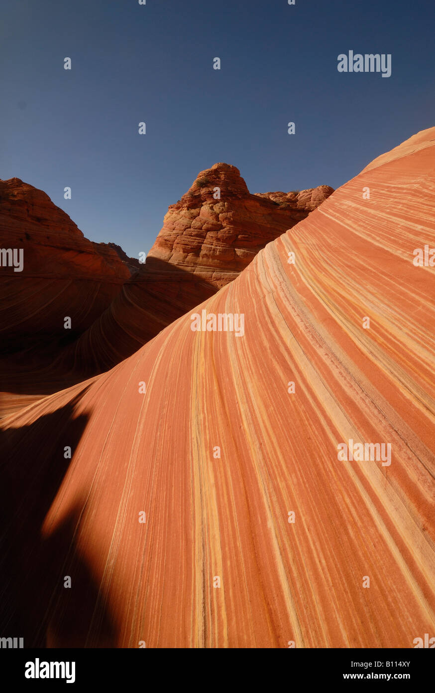 The beautiful rock formation The wave Vermillion Cliffs Utah USA Stock ...
