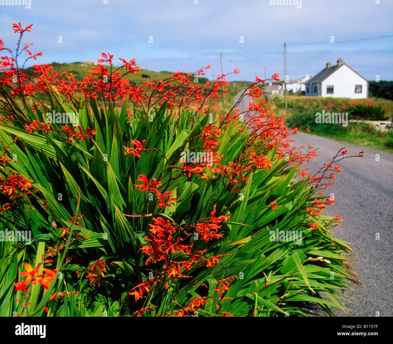 Rosbeg donegal ireland hi-res stock photography and images - Alamy