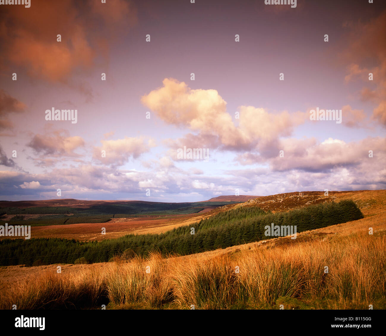 Ballinamore hi-res stock photography and images - Alamy