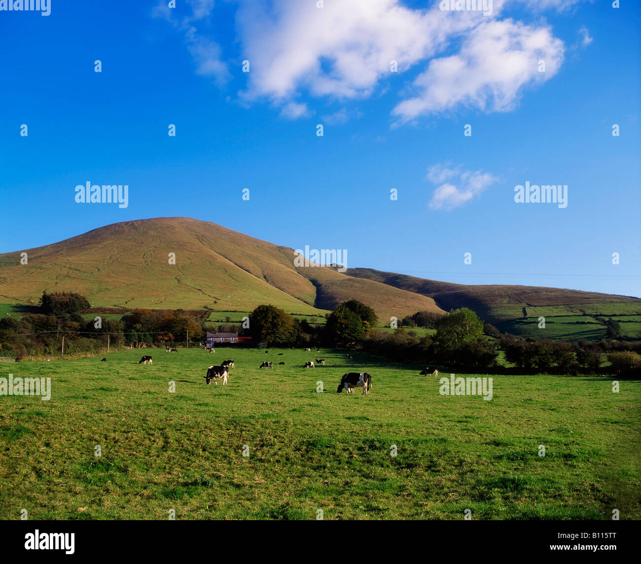 Galtee Mountains, County Tipperary, Ireland, near Anglesborough Stock ...