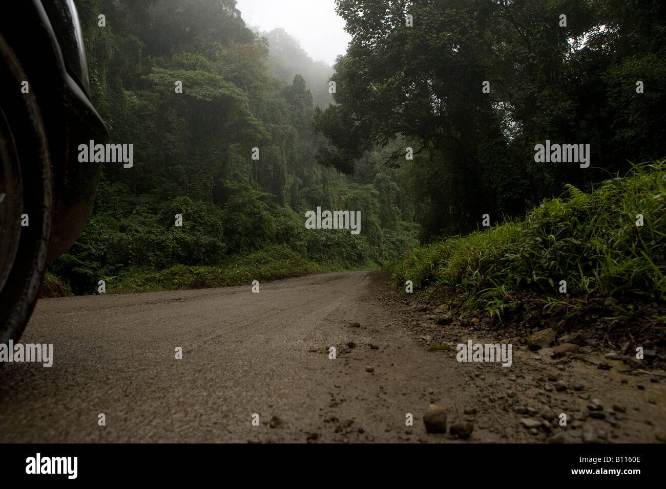 Dark soil brazil hi-res stock photography and images - Alamy