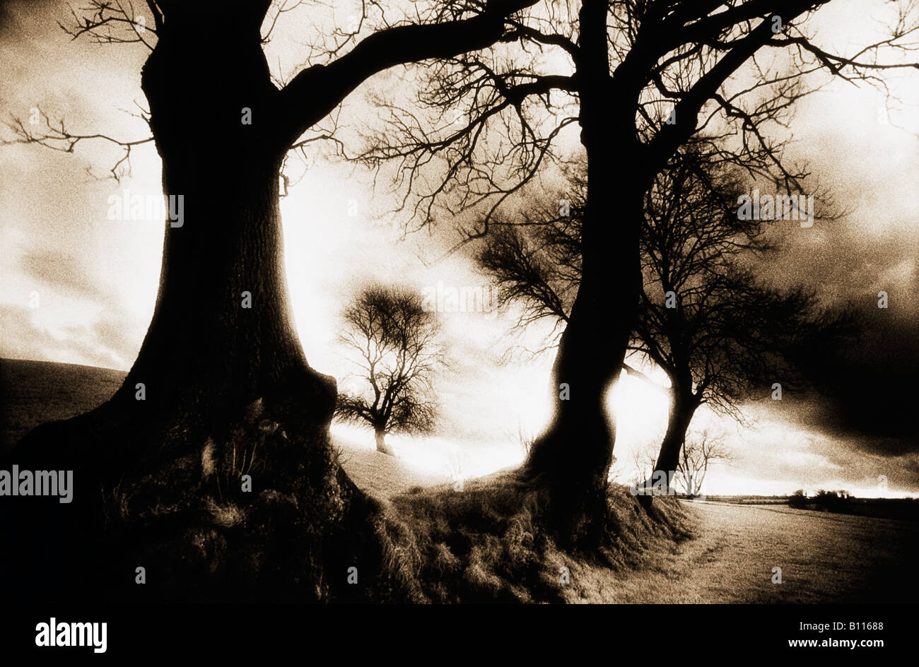 Navan Fort, County Armagh, Northern Ireland Stock Photo - Alamy