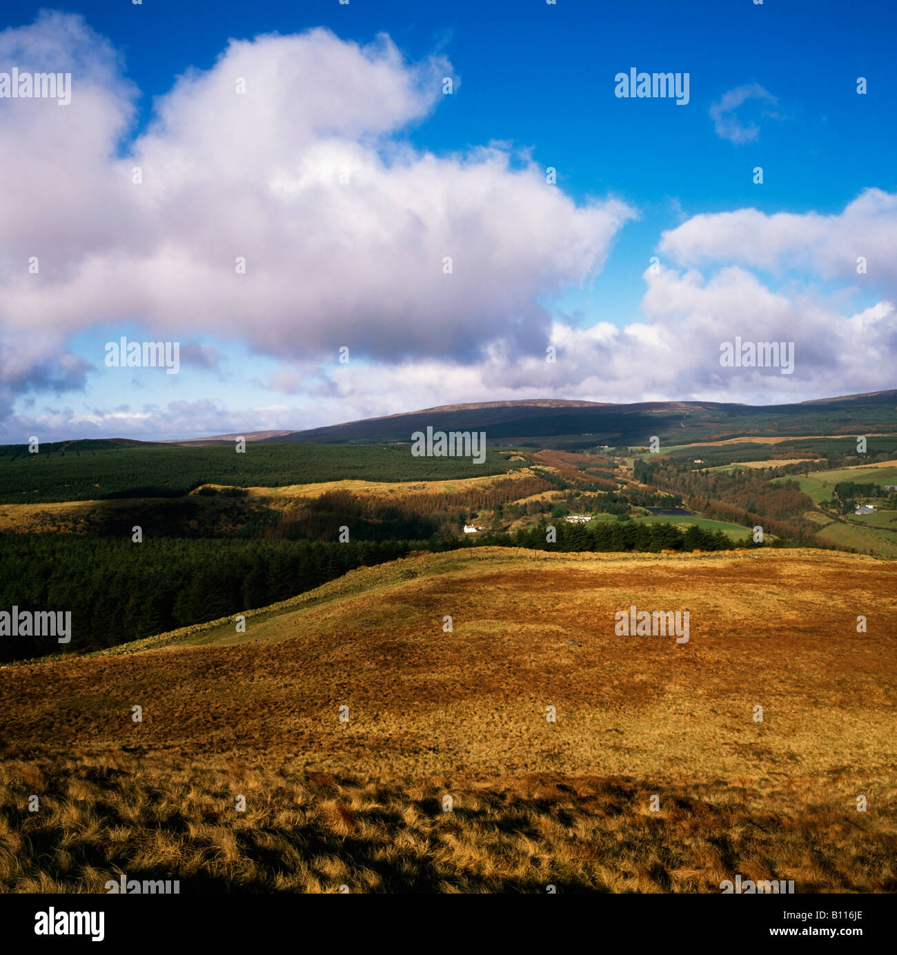 Glenariffe hi-res stock photography and images - Alamy